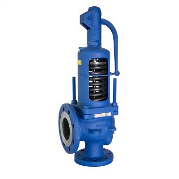 ARI Safety Valve - Valmatic